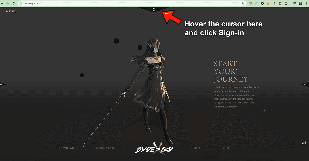 Blade of God X: How to Create a Void Labs Account | GAM3S.GG
